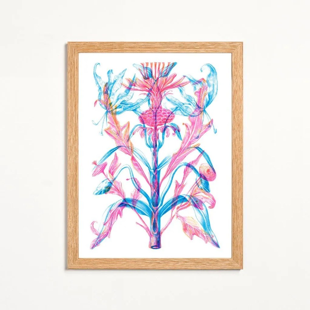 Filip Šenkeřík | Hybrid I – Liliantaurea Centaureum Rám: Černý, Velikost: 60 x 40 cm
