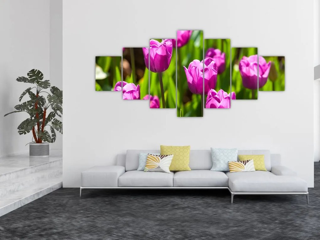 Obraz tulipánů na louce (210x100 cm)