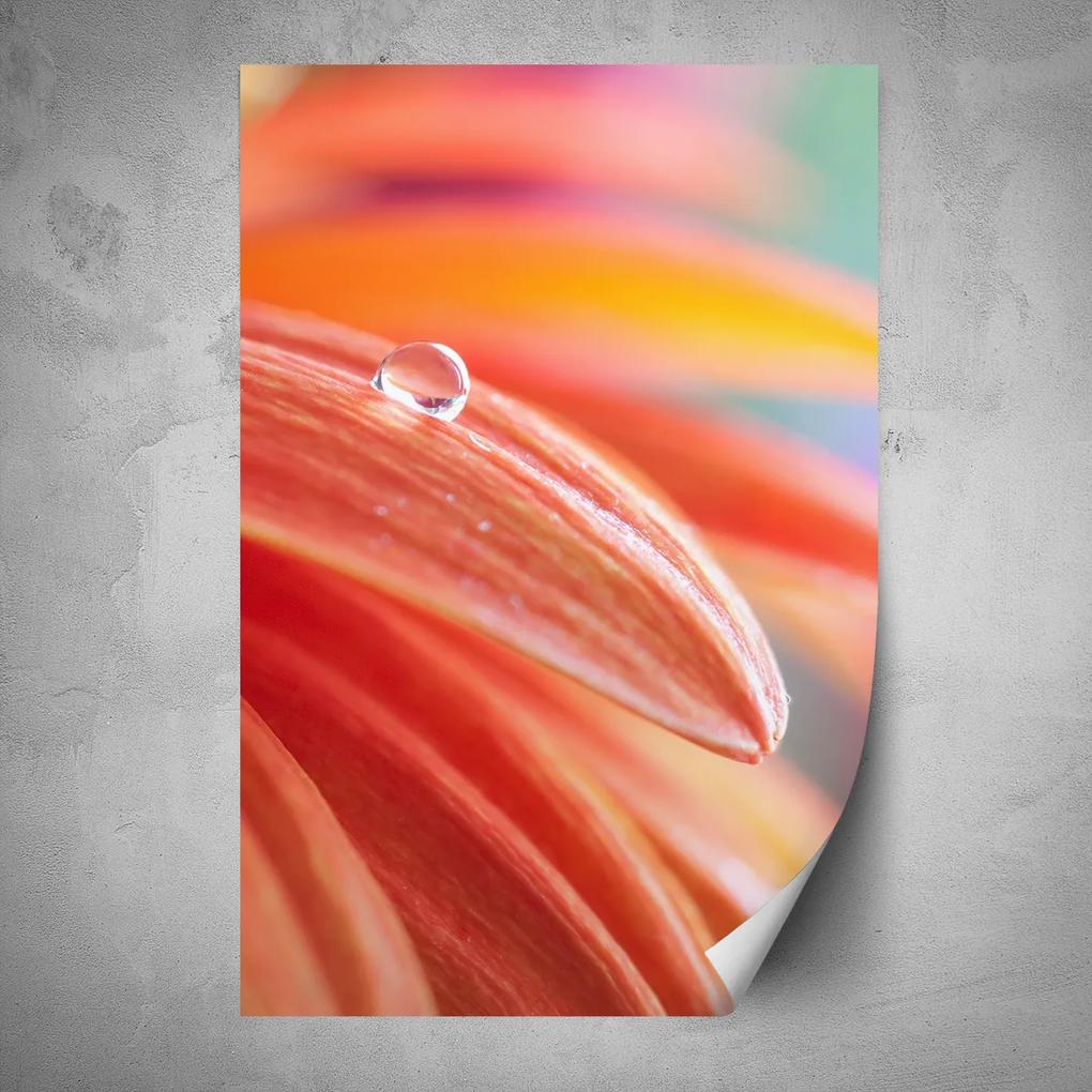 Plakát - Kapka rosy na květu (80x120 cm) - PopyDesign