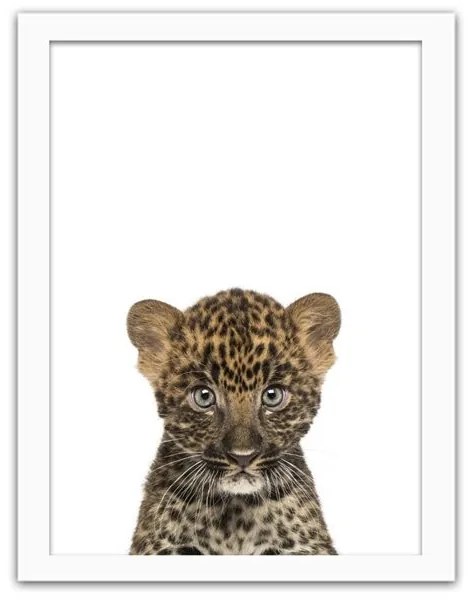 MISDA Obraz v rámu malý leopard