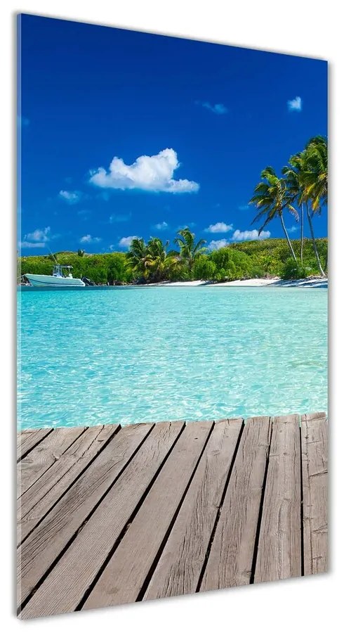 Wallmuralia Foto obraz skleněný svislý Tropická pláž 60x120 cm
