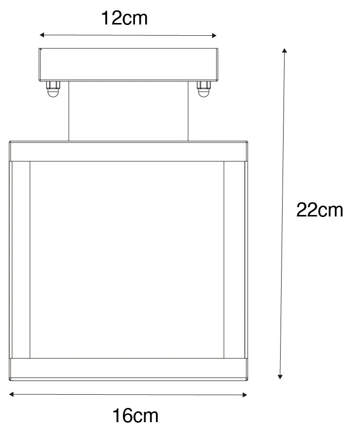 Průmyslové venkovní stropní svítidlo černé se zlatem - Rotterdam