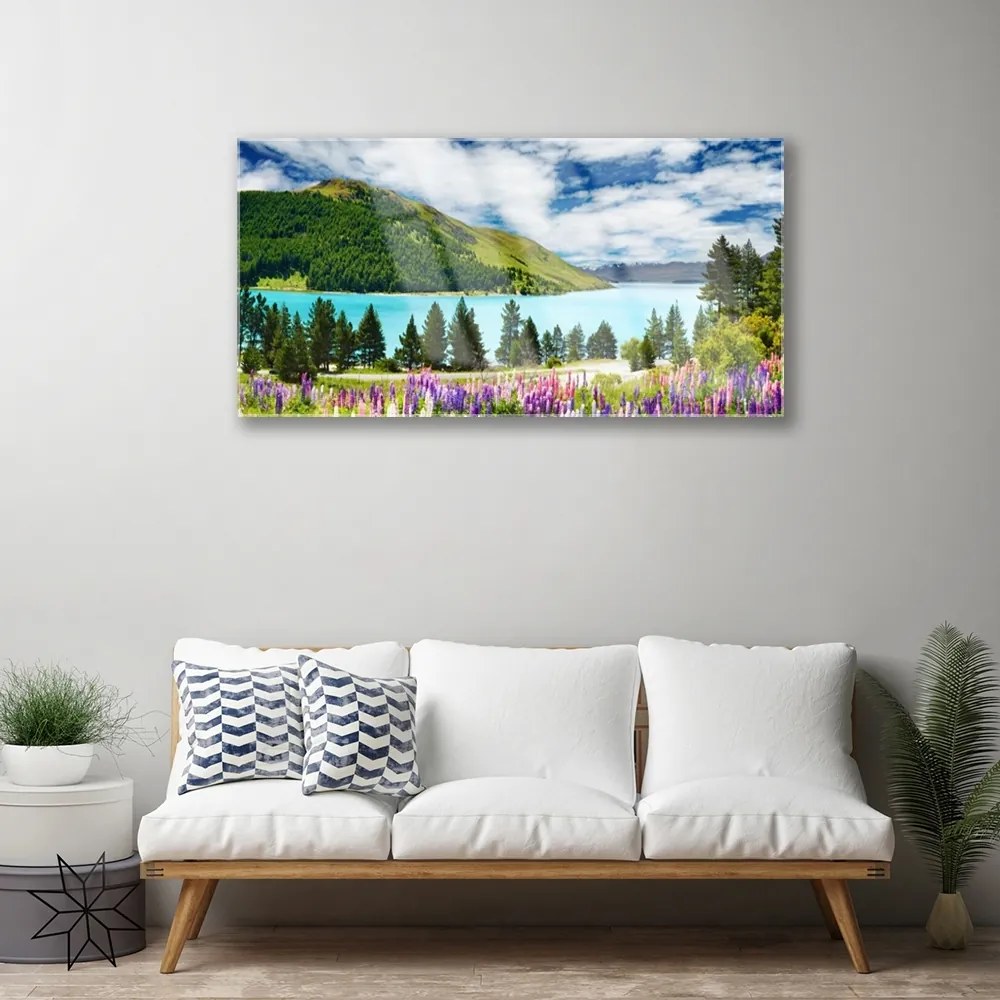 Obraz na skle Hora Les Jezero Krajina 100x50 cm