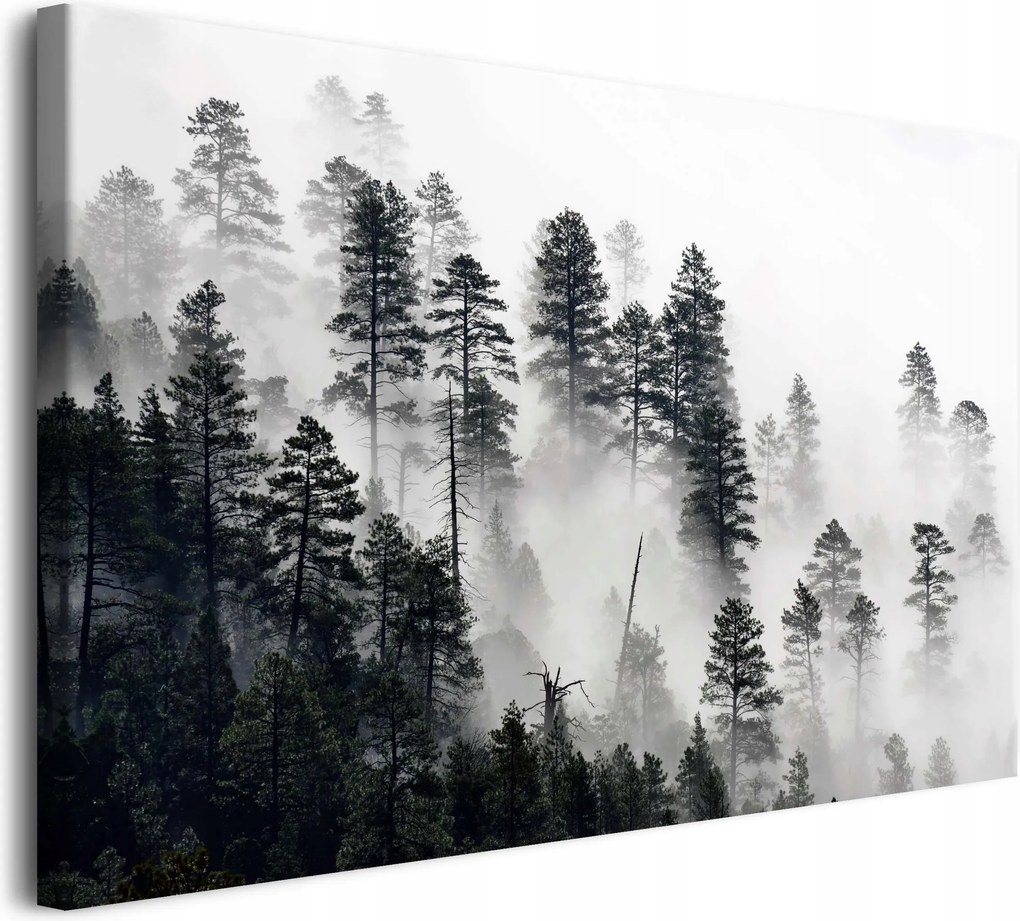 Klimatický obraz na plátně na zeď do obývacího pokoje Les v mlze 80x120 cm