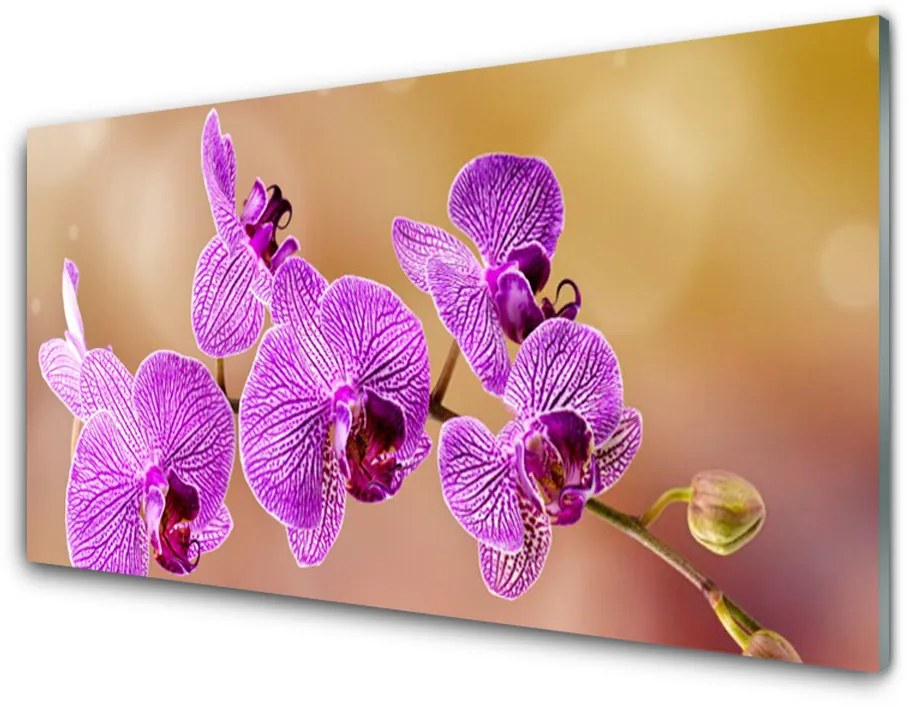 Obraz na skle Orchidej Výhonky Květiny Příroda 120x60 cm