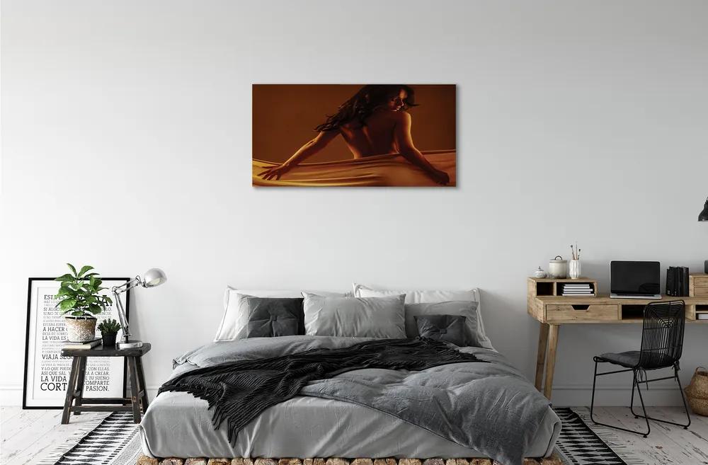 Obrazy na plátně Žena s materiálem 100x50 cm