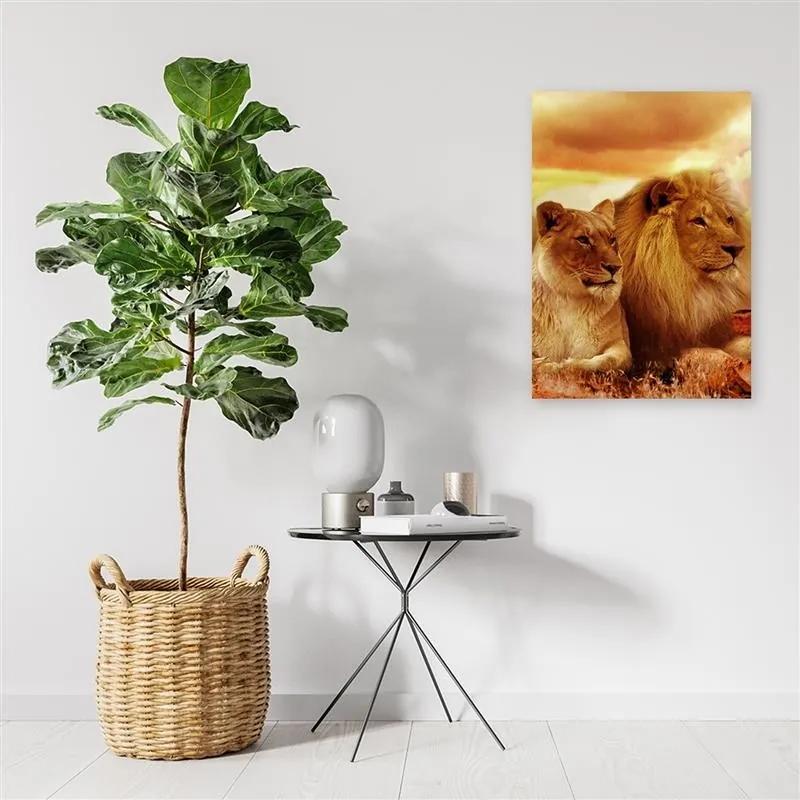 Obraz na plátně, Lvi Afrika Zvířata - 70x100 cm