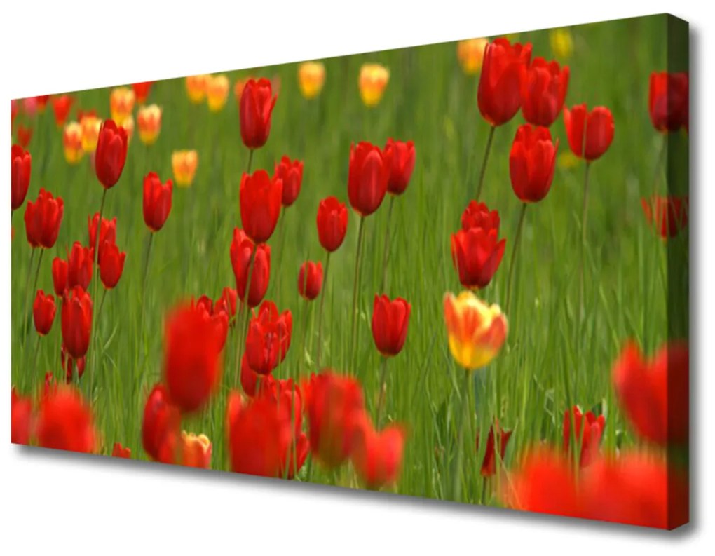 Obraz na plátně Skleněný Tulipány Rostlina