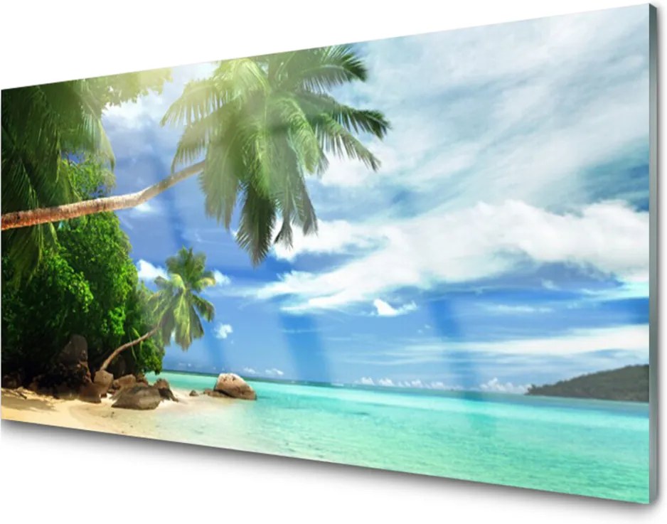 Plexisklo obraz Palma Pláž Moře Krajina