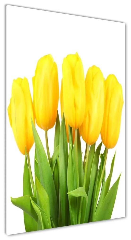 Foto obraz na plátně Žluté tulipány