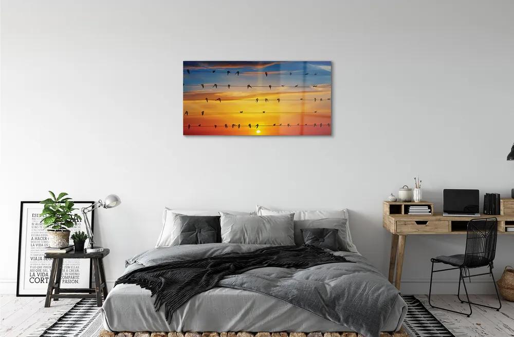 akrylový obraz Ptáci na lanech západu slunce 100x50 cm