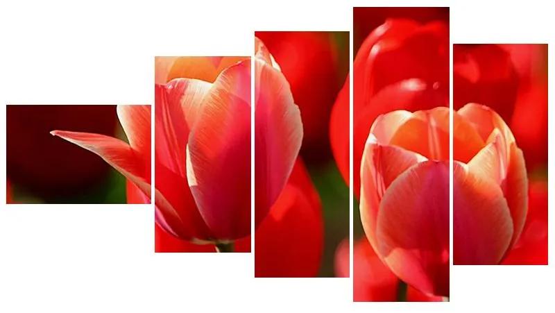 Obraz červených květin (110x60 cm), 40 dalších rozměrů