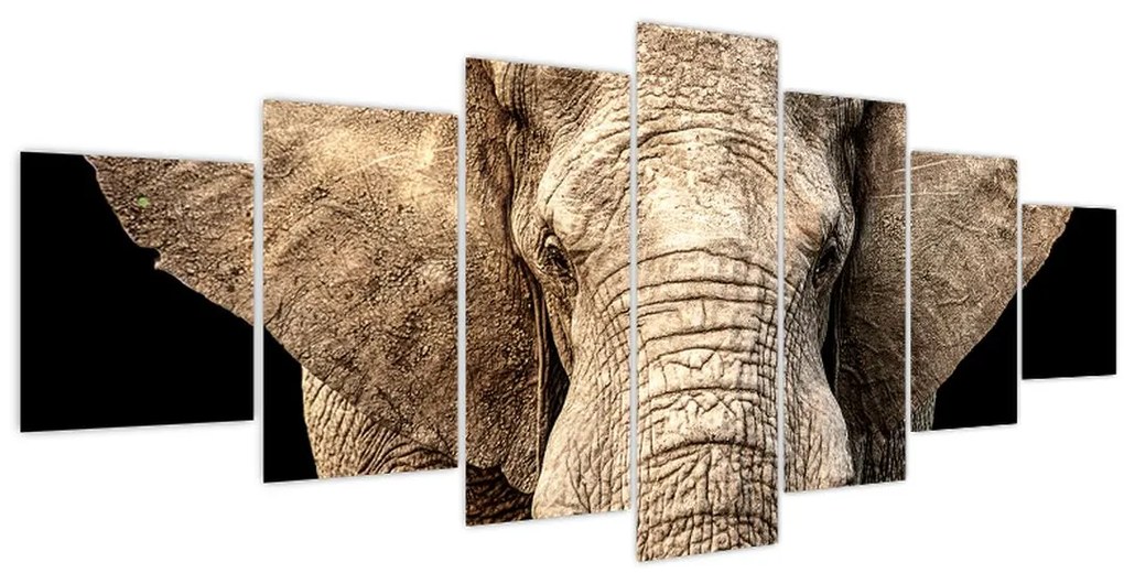 Obraz - Slon africký (210x100 cm)