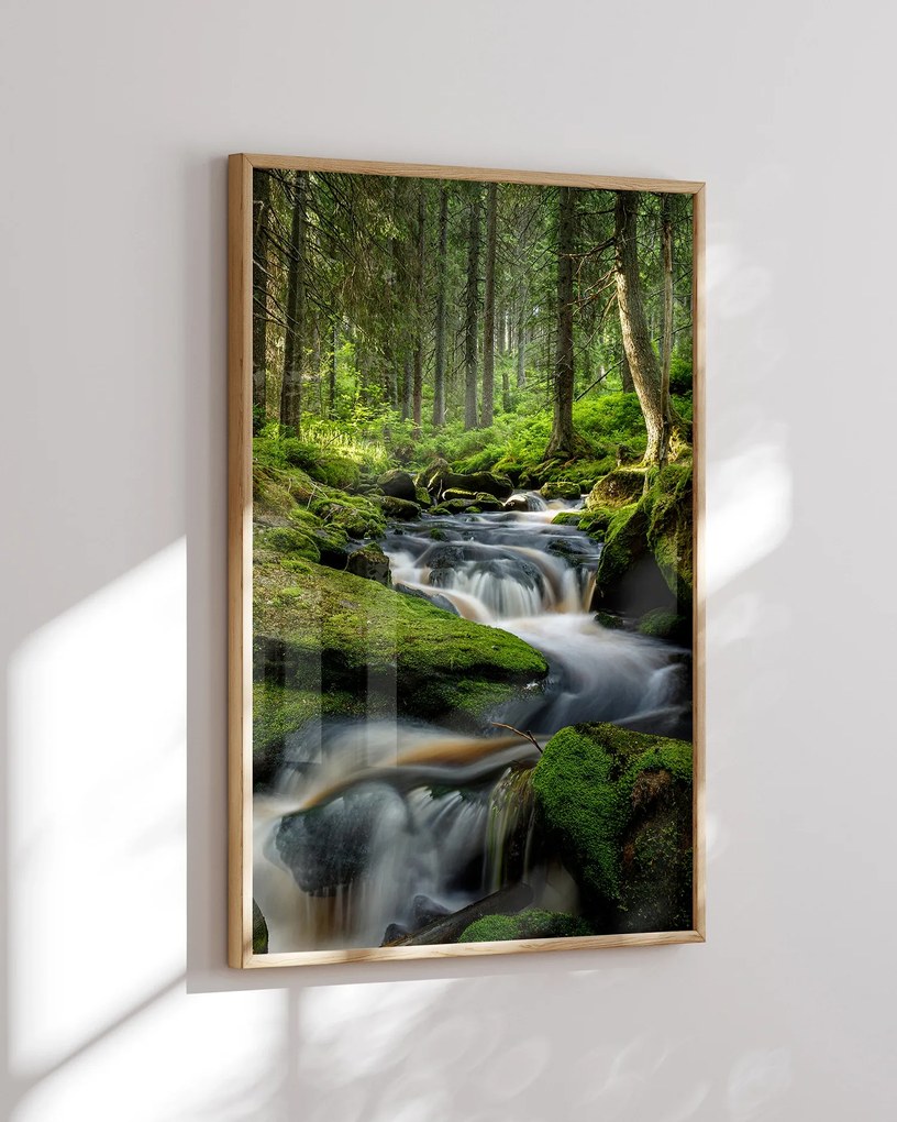 Oboustranný plakát Borové Větve / Lesní Potok při Východu Slunce | 30 x 42 cm | DP351327