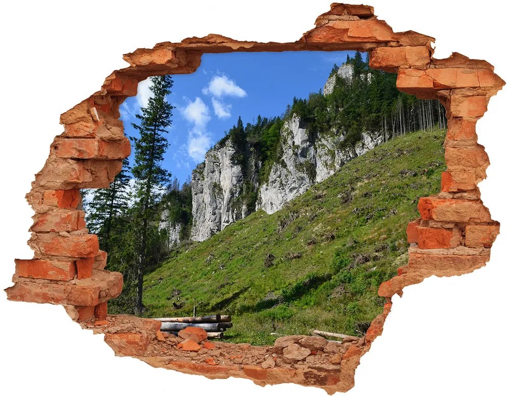 Wallmuralia Díra 3D ve zdi nálepka Štíty hor 90x70 cm