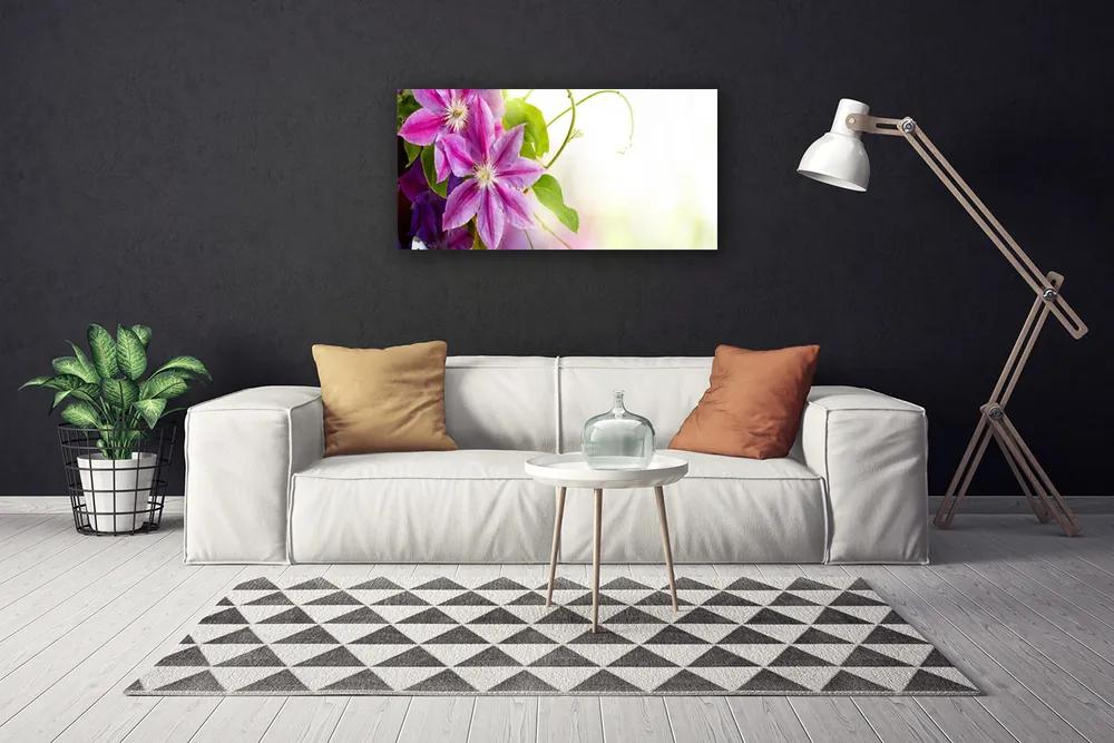Obraz na plátně Květiny Příroda 100x50 cm
