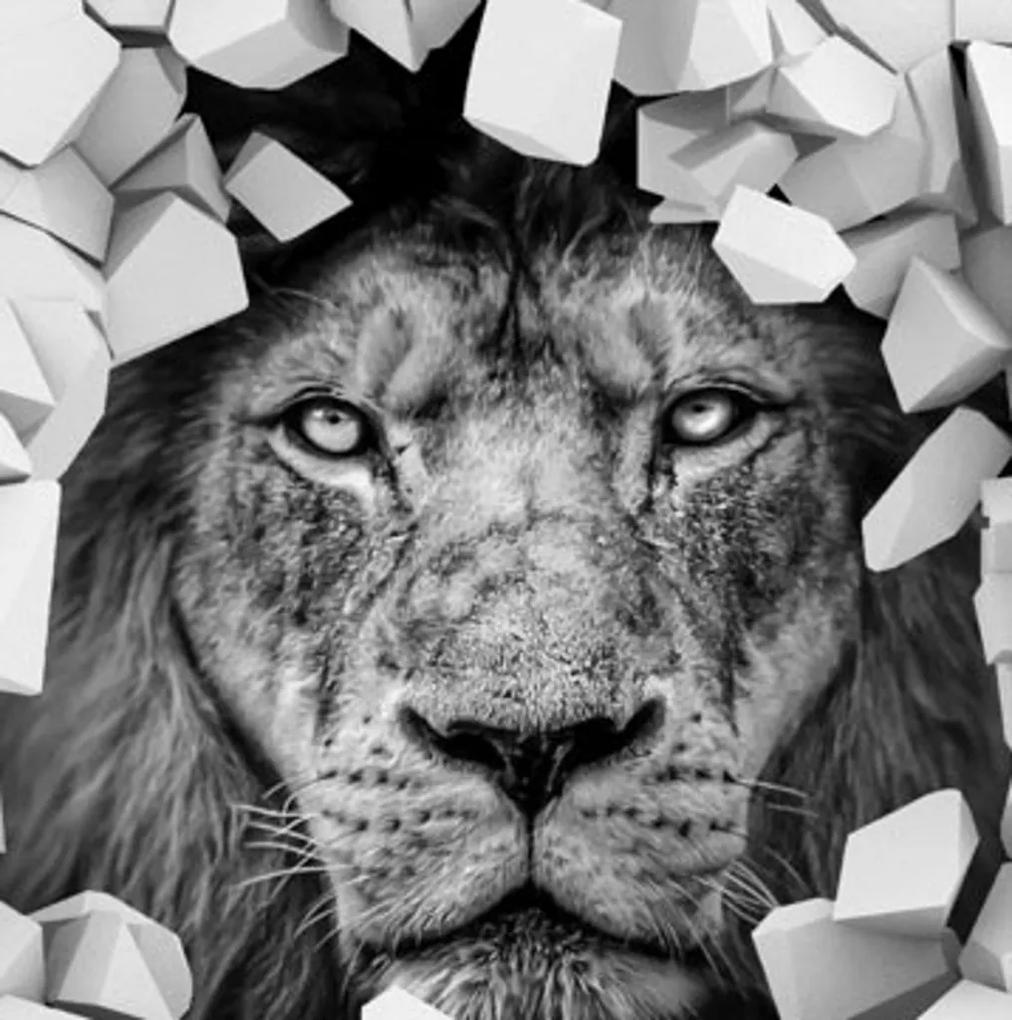 3D obraz lev ve zdi Velikost (šířka x výška): 90x60 cm