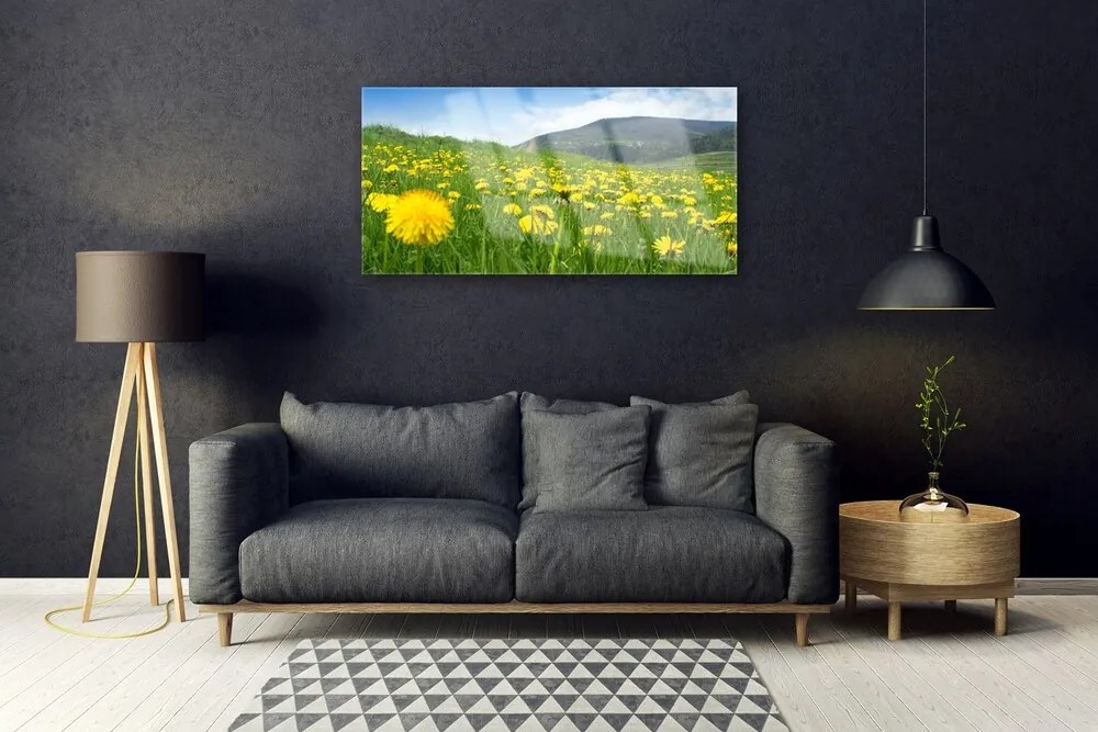 Obraz na skle Pampeliška Příroda 120x60 cm
