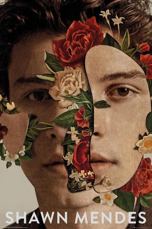 Plakát, Obraz - Shawn Mendes - Flowers, (61 x 91,5 cm)