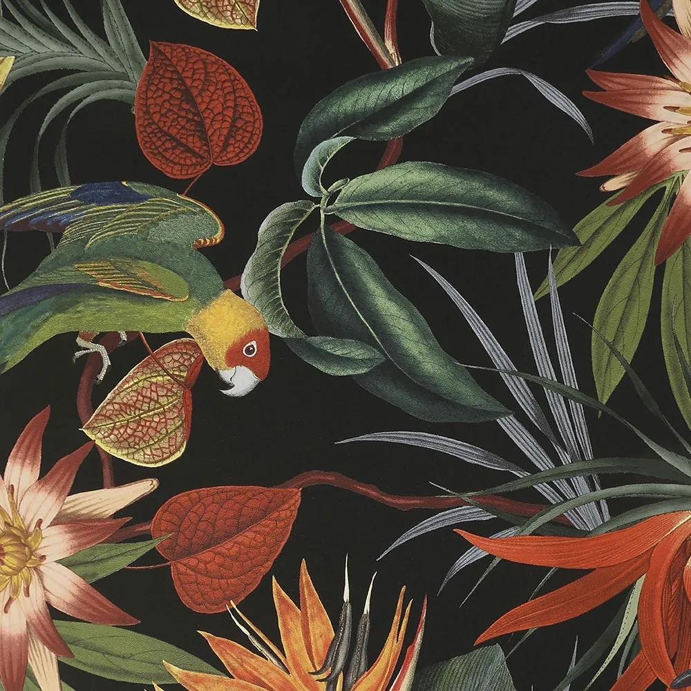 Graham &amp; Brown Vliesová tapeta Exotické květiny, listy a papoušci 108602, Parrot Black, Paradise, Graham &amp; Brown rozměry 0,52 x 10 m