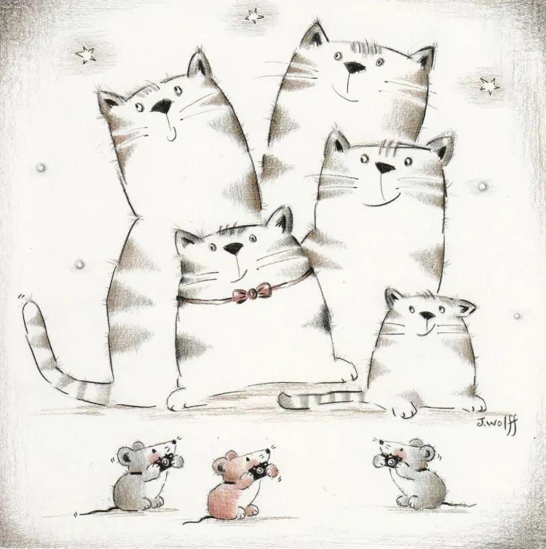 ART-STYLE Obrázek 14x14, kočky, rám bílý s patinou