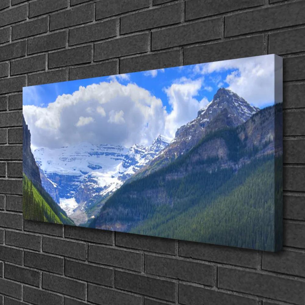 Obraz na plátně Krajina Hory 100x50 cm
