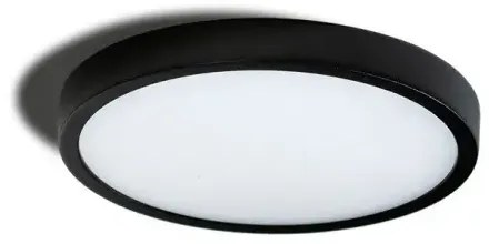 LED stropní svítidlo Malta R 30 4000K černé