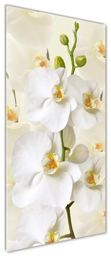 Wallmuralia Foto obraz akrylový Orchidej 50x125 cm