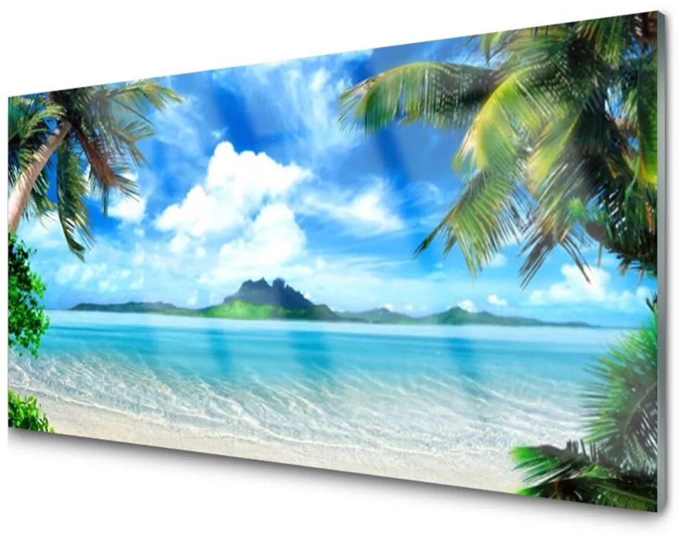 Plexisklo obraz Palmy Moře Tropický Ostrov