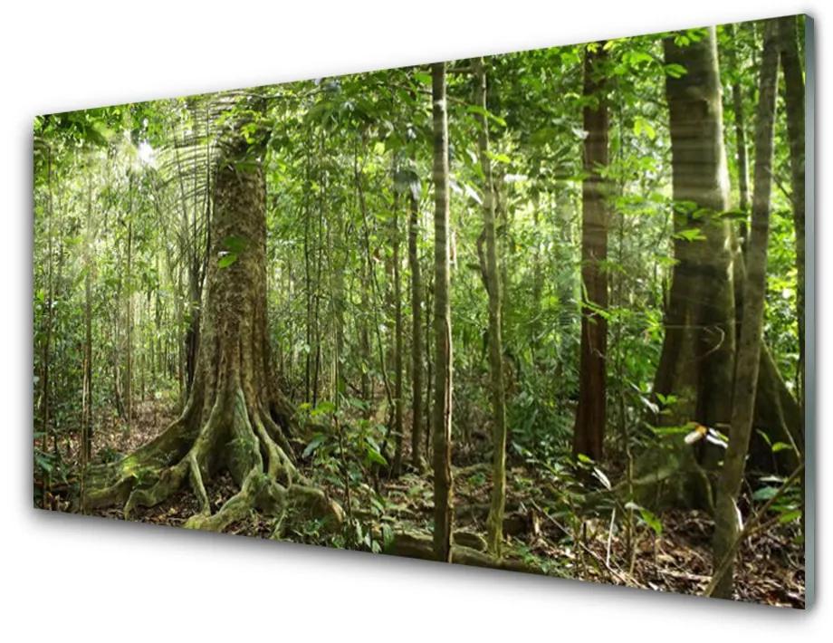Obraz na skle Les Příroda Džungle 100x50 cm