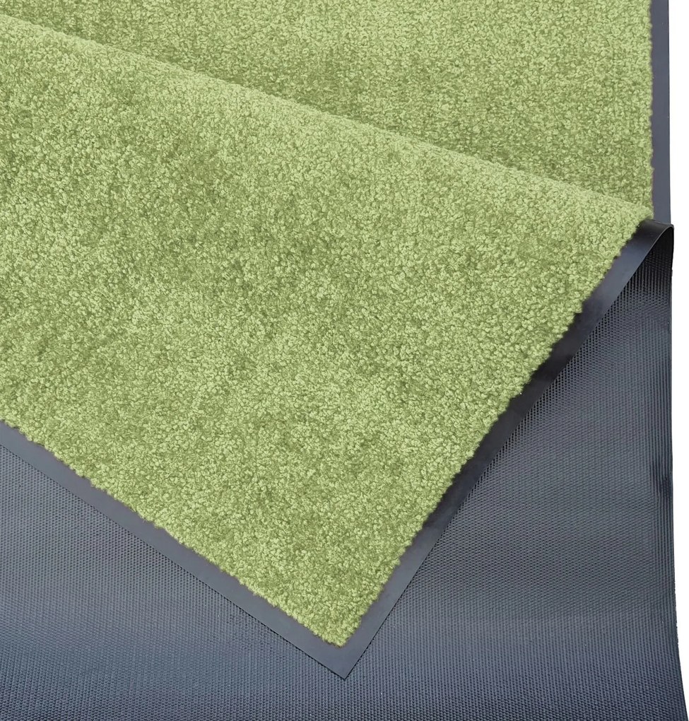 Hanse Home, Rohožka Wash & Clean 101470 Green, 60x90, zelená, chodba / předsíň