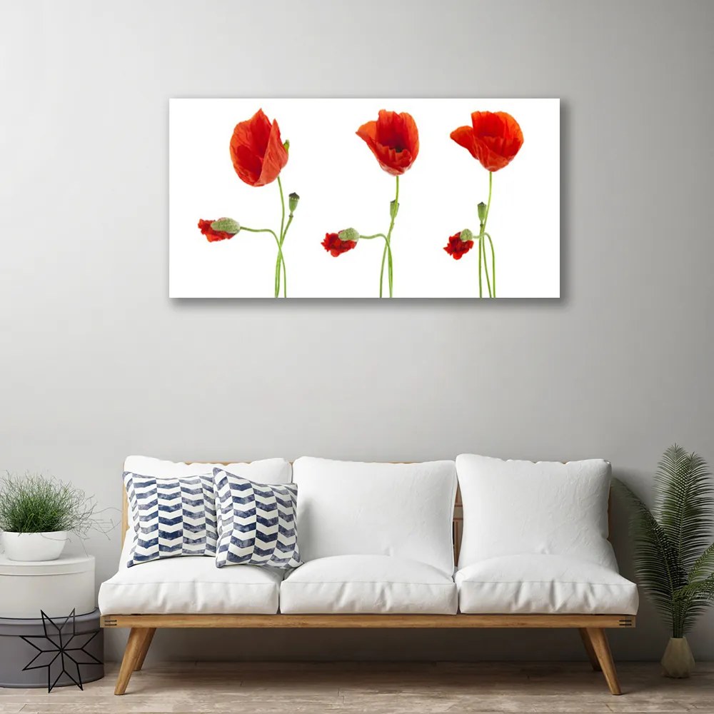 Obraz na plátně Máky Rostlina Příroda 120x60 cm