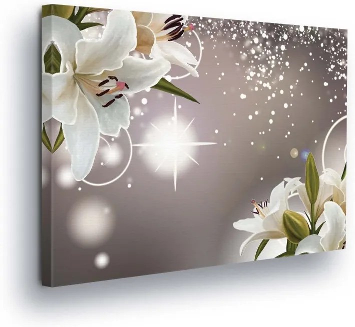 GLIX Obraz na plátně - Bílé Květiny s Hvězdami 80x60 cm