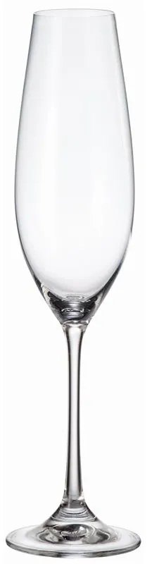 BOHEMIA COLUMBA SKLAD NA ŠAMPAŇSKÉ 260ML SADA 6KS