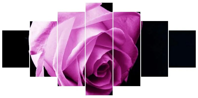 Obraz růžové růže  (210x100 cm), 40 dalších rozměrů