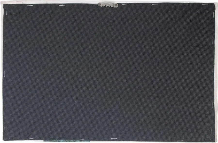 Sametový panel/obraz na stěnu Zebry - 35*45*1cm