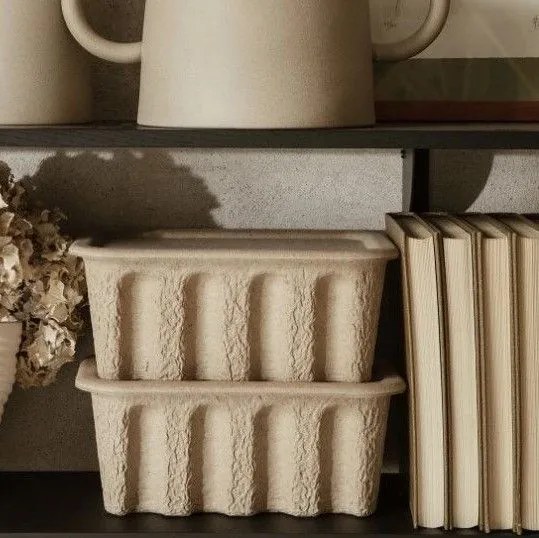 ferm LIVING Úložný box s víkem Paper Pulp Small - set 2 ks, přírodní barva, papír