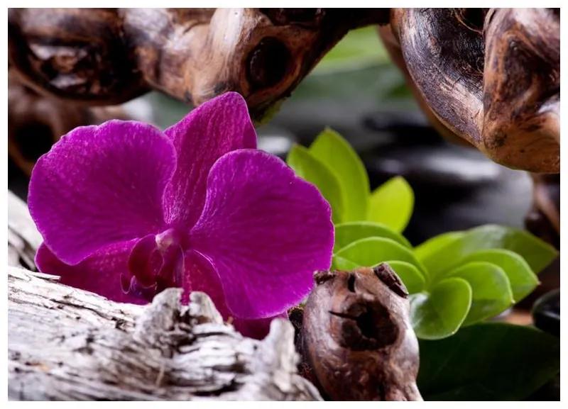 Obraz fialového květu ve větvích (70x50 cm), 40 dalších rozměrů