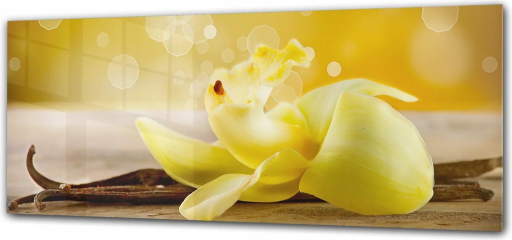 grafika sklo skleněný obraz květina 100x40