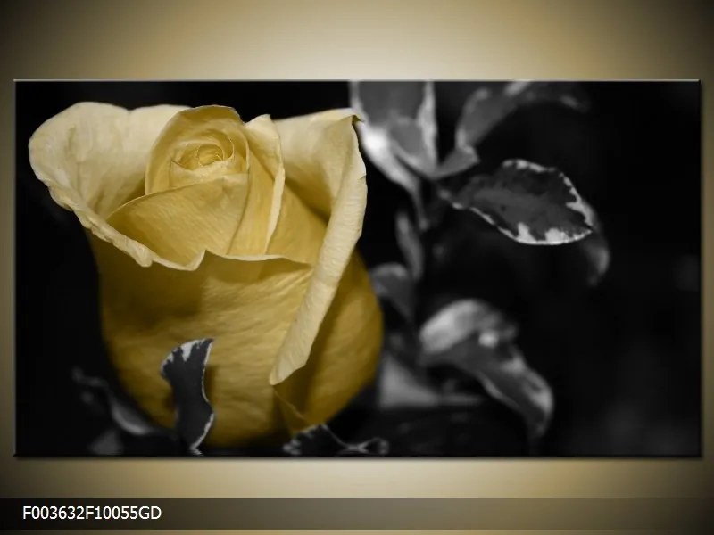 Obraz bledé růže (), 40 dalších rozměrů