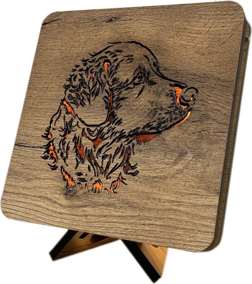 Li-Go "Labrador štěně" lampa 19x19 cm provedení povrchu: dub světlý