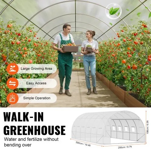 Walk-in tunelový skleník 5,9 × 2,95 × 1,98 m pozinkovaný rám PE kryt bílý