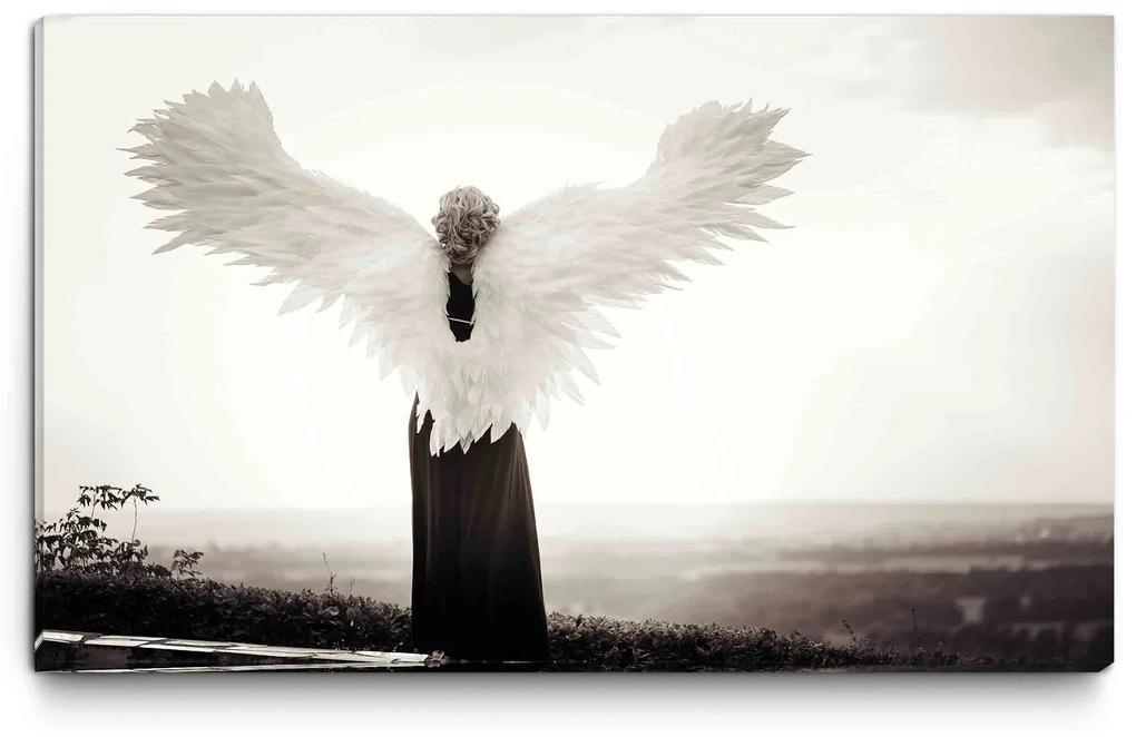 Malvis ® Obraz na stěnu Anděl Velikost: 80x50 cm
