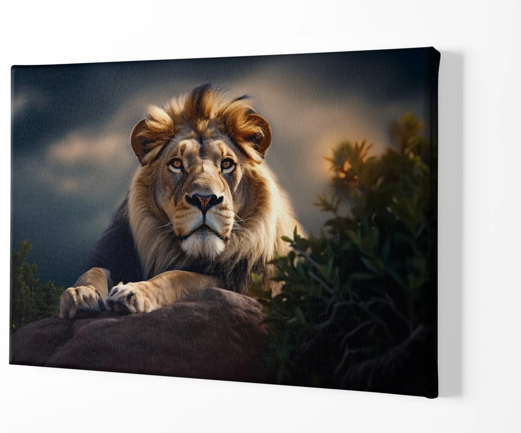 Obraz na plátně - Lev se vyhřívá na skále těsně před bouřkou FeelHappy.cz Velikost obrazu: 60 x 40 cm