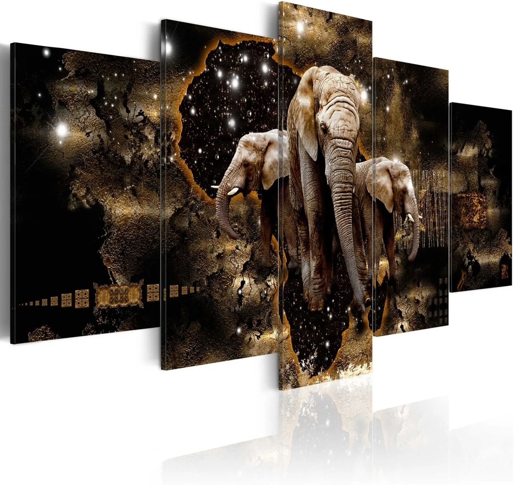 Obraz - Brown Elephants 100x50