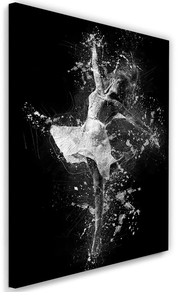 Gario Obraz na plátně Balerína - Cornel Vlad Rozměry: 40 x 60 cm