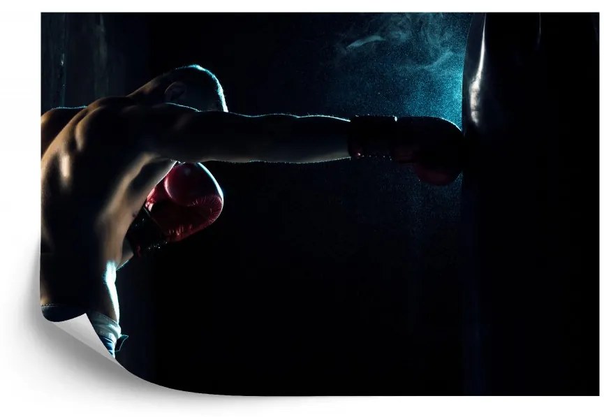 Fototapeta Školení Boxer Ve Stínu Hladký vinyl 104x70.5