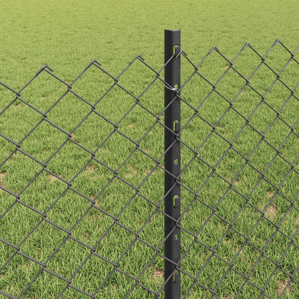 Plot s řetězovým odkazem a sloupkem 10 x 0,8 m Šedá Síťovina 3336259