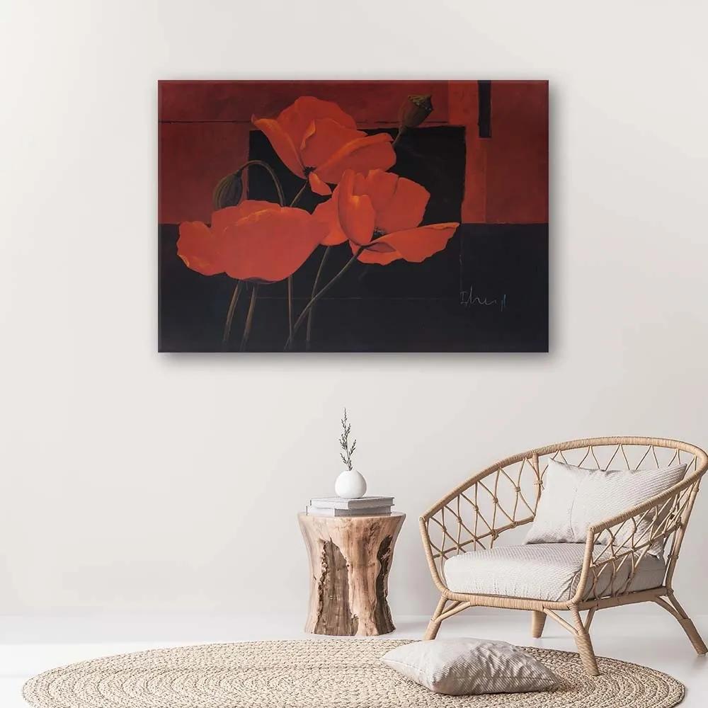 Obraz na plátně Květy máku Červená - 120x80 cm