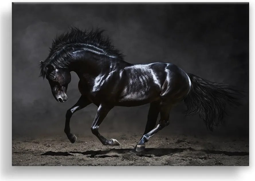 Obraz Styler Canvas Silver Uno Horse, 85 x 113 cm